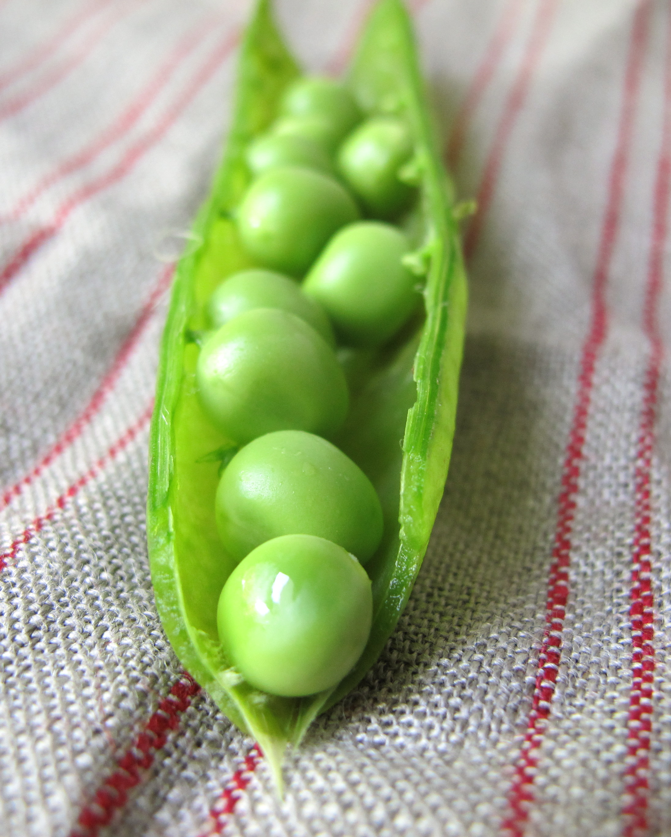 “Peas in a Pod Salad Fit for a Princess” | food on fifth
